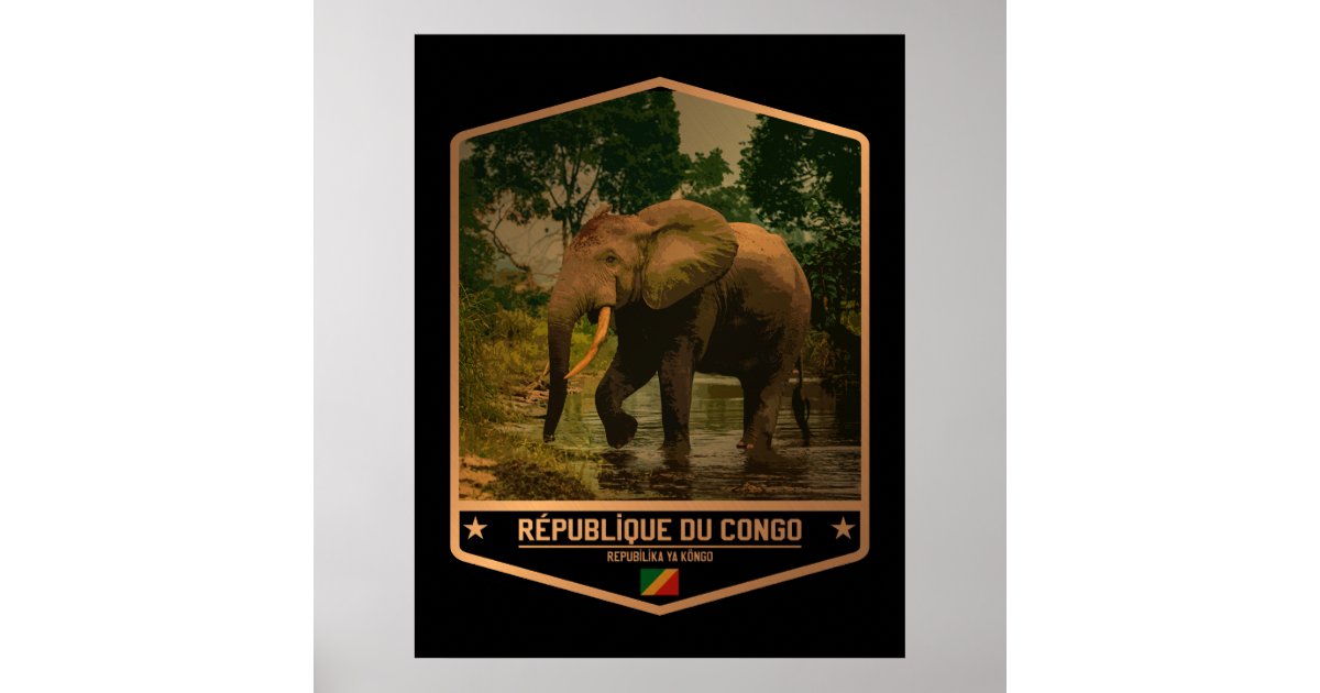 Republic of the Congo Poster | Zazzle