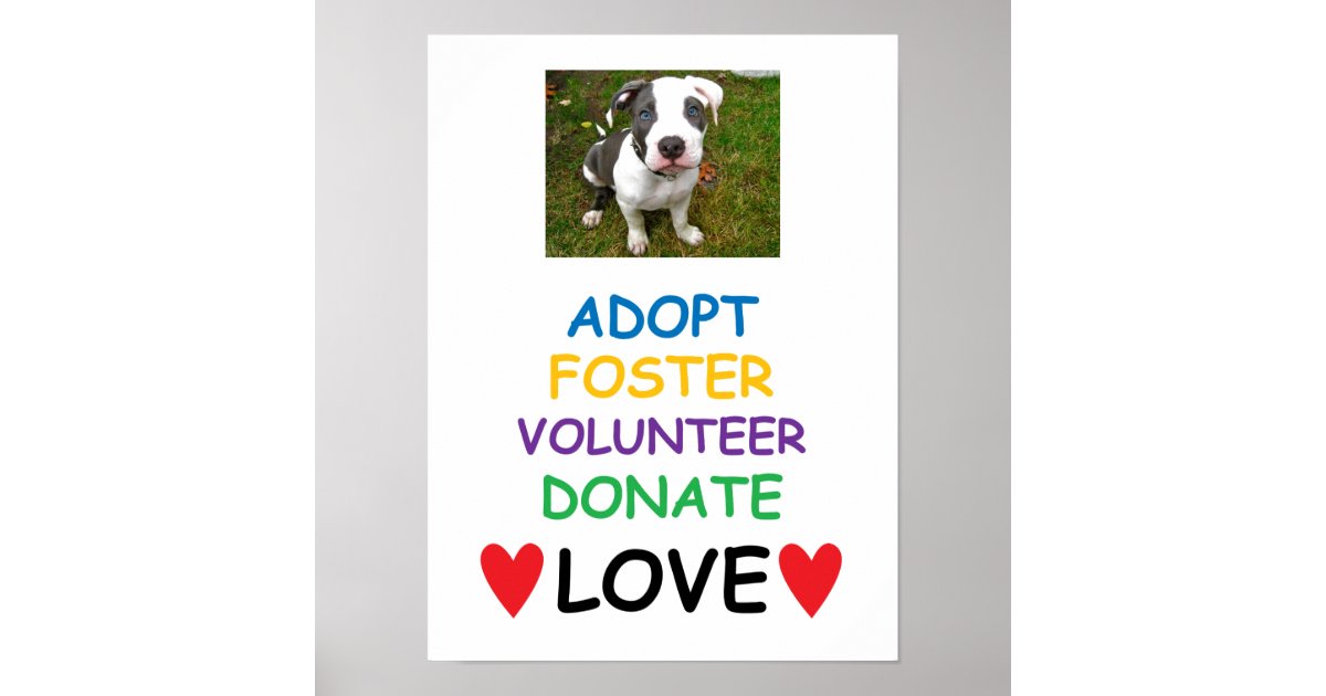 Rescue Dog Poster, Adopt Love Poster | Zazzle