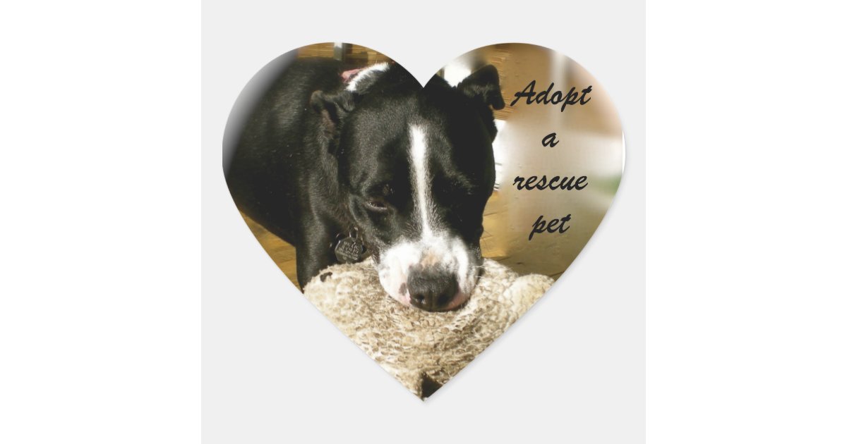 Rescue Pet Adoption Heart Sticker | Zazzle
