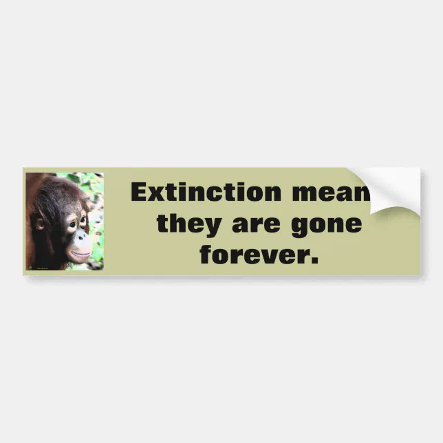 Rescue Wildlife from Extinction Bumper Sticker | Zazzle
