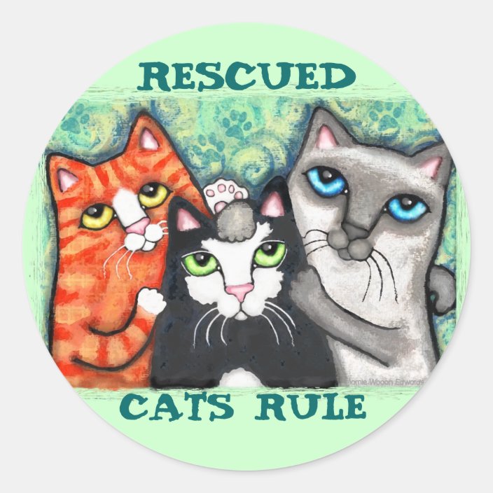 Rescued / Shelter Cat's Classic Round Sticker | Zazzle.com