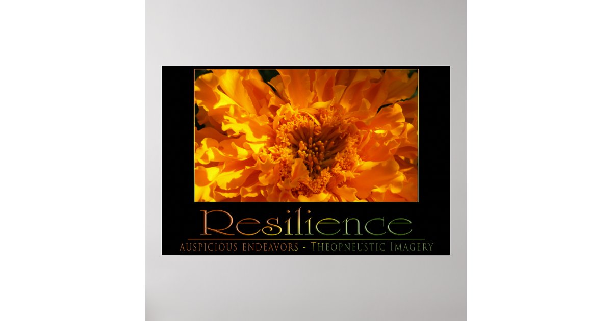 Resilience Poster | Zazzle