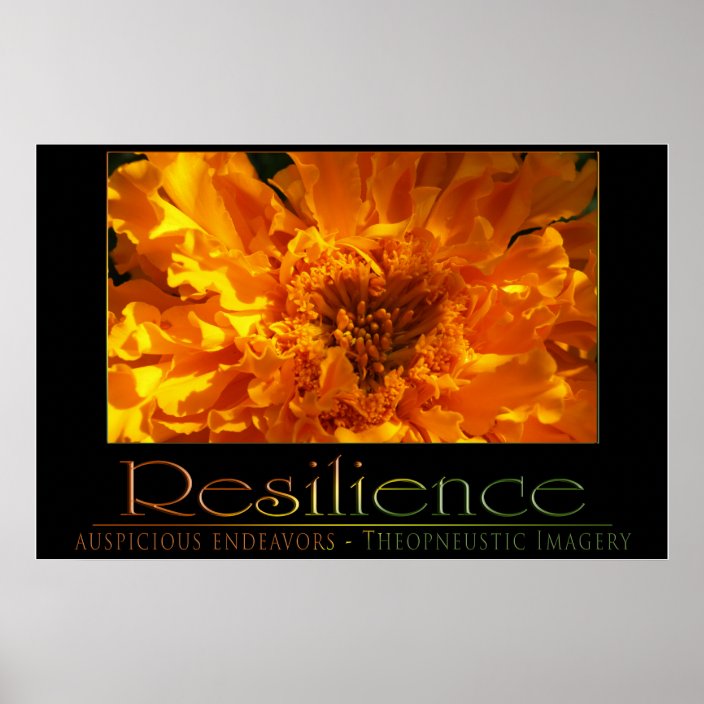 Resilience Poster | Zazzle.com