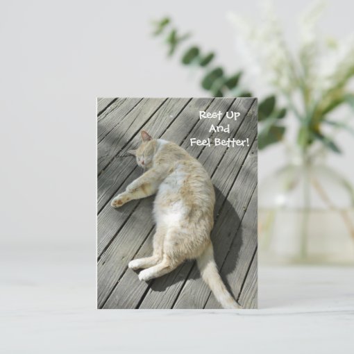 Rest Up Feel Better Cute Cat Get Well Custom Postcard | Zazzle