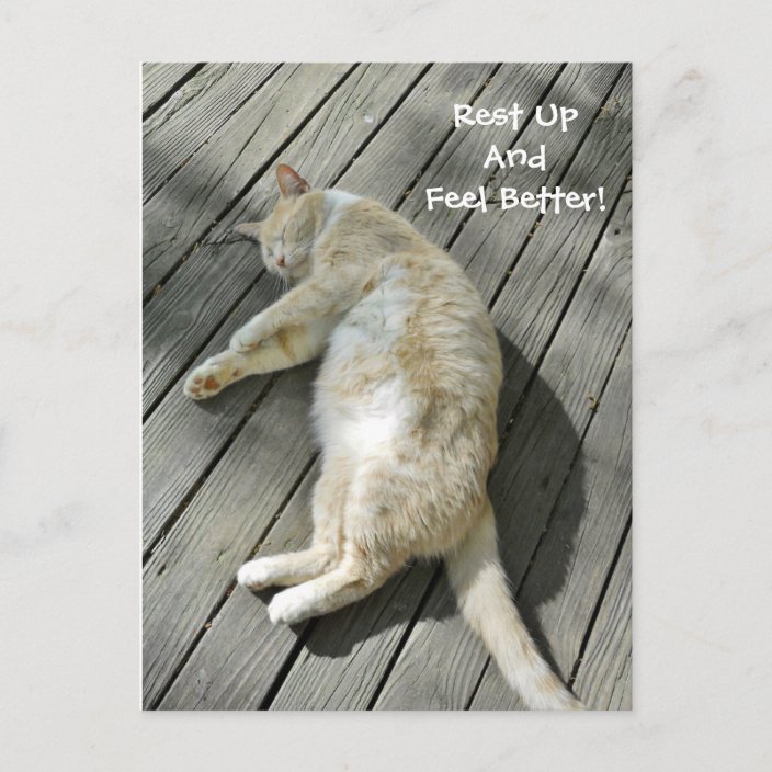 Rest Up Feel Better Cute Cat Get Well Custom Postcard | Zazzle.com