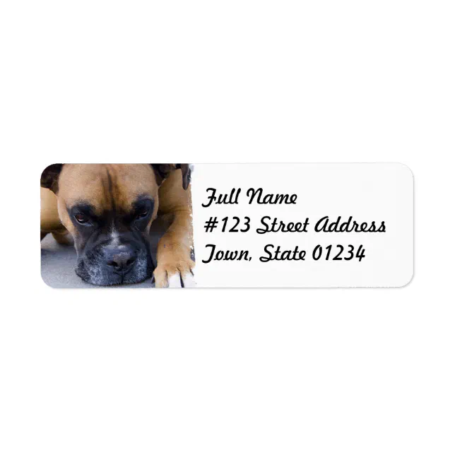 Resting Boxer Dog Mailing Label | Zazzle