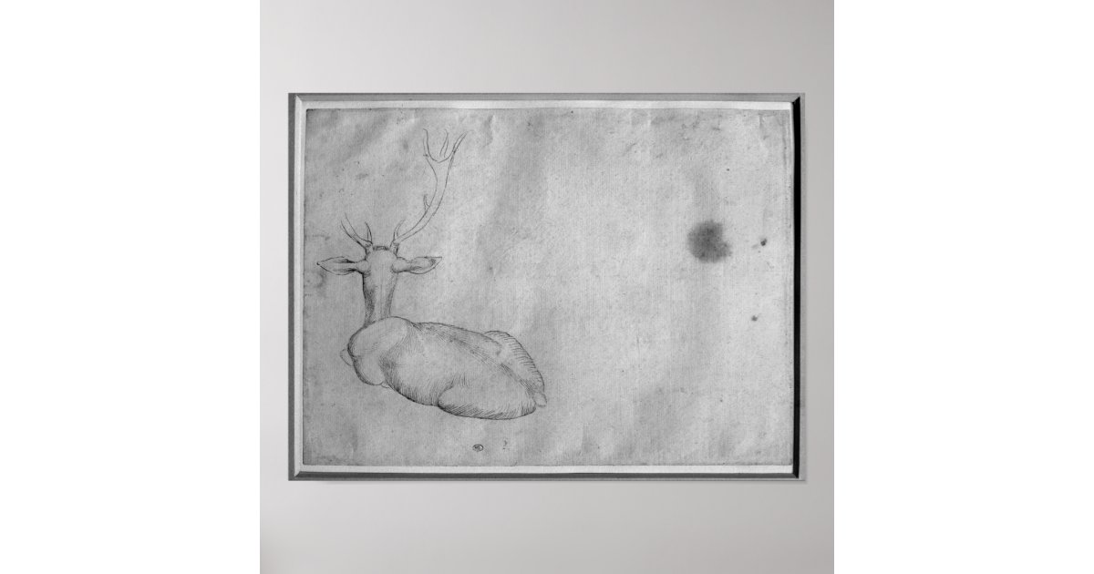 Resting stag poster | Zazzle