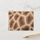 Reticulated Giraffe Pattern Wild Animal Print Gift Postcard | Zazzle