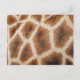 Reticulated Giraffe Pattern Wild Animal Print Gift Postcard | Zazzle