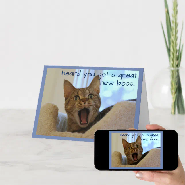 Retirement Cat is Very Happy Card | Zazzle
