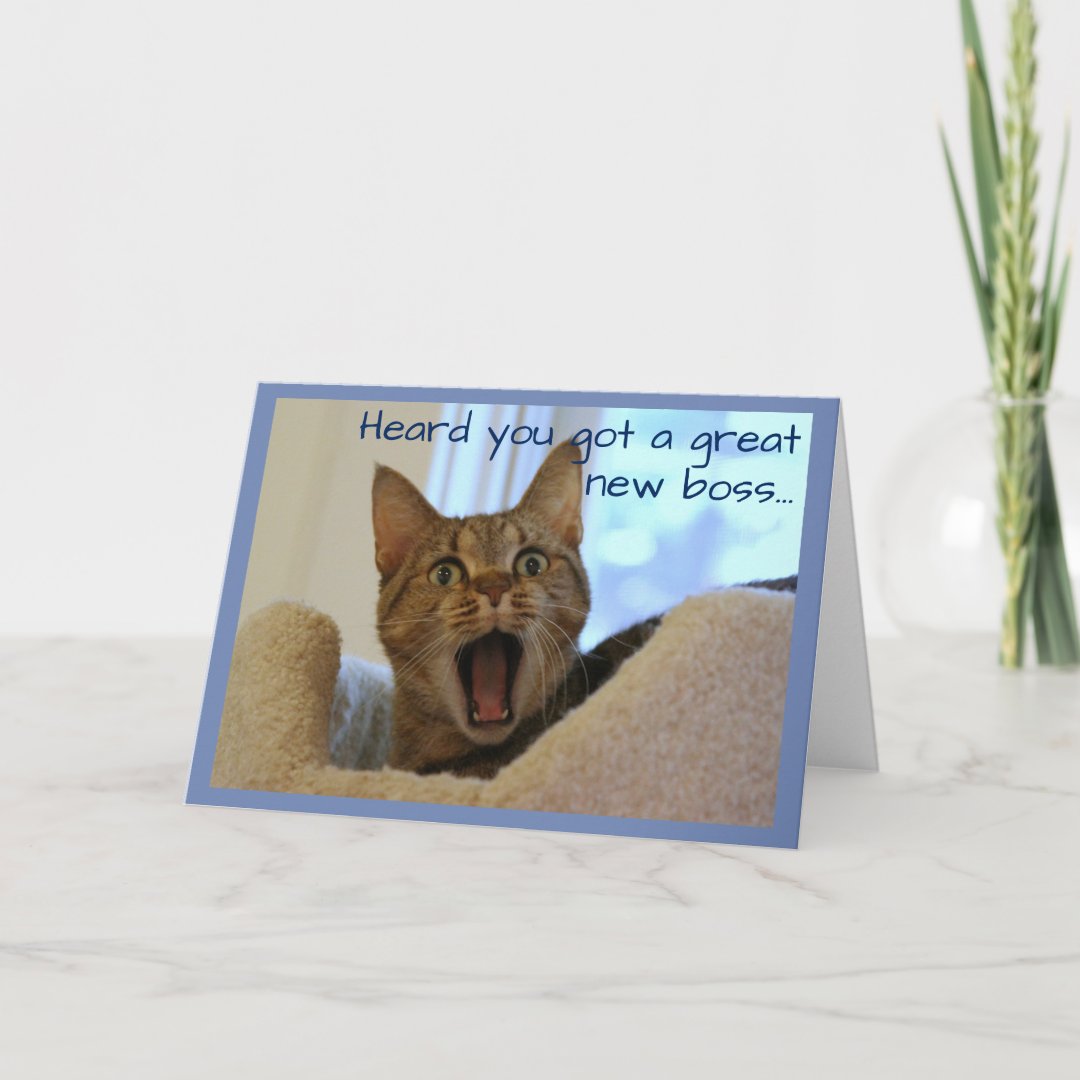 Retirement Cat is Very Happy Card | Zazzle