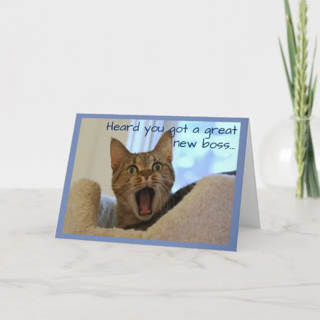 Retirement Cat is Very Happy Card | Zazzle