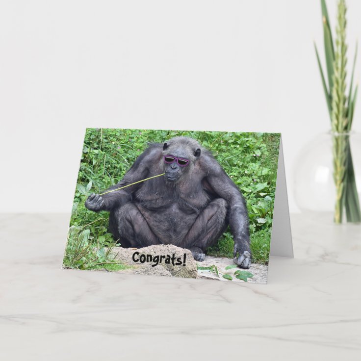 Retirement Chimpanzee with Sunglasses Card | Zazzle
