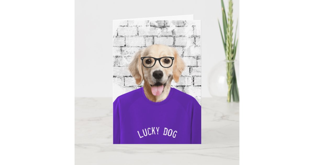 Retirement Golden Retriever With Purple Shirt Card | Zazzle