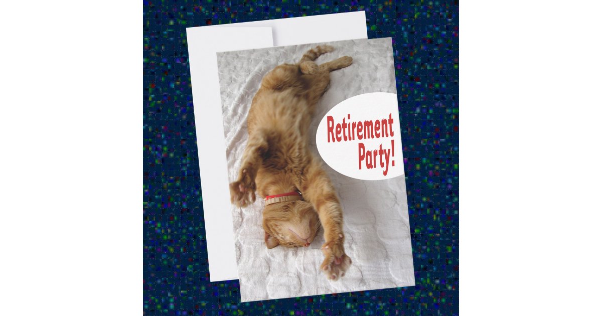 Retirement Party Invitation with funny cat | Zazzle