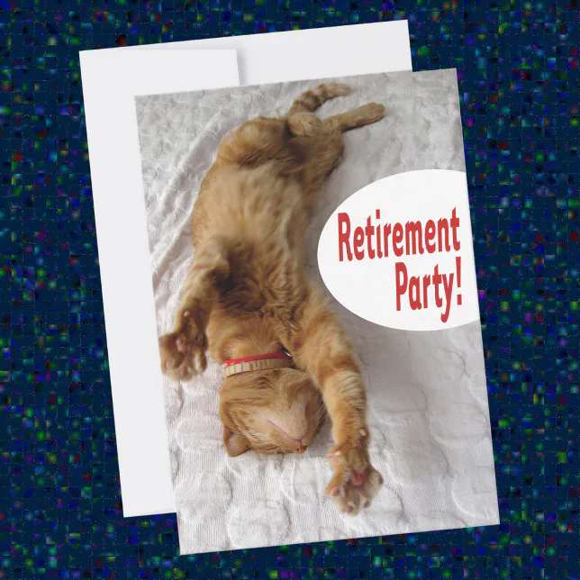 Retirement Party Invitation with funny cat | Zazzle
