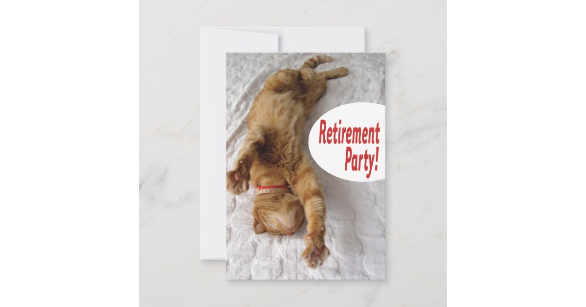 Retirement Party Invitation with funny cat | Zazzle