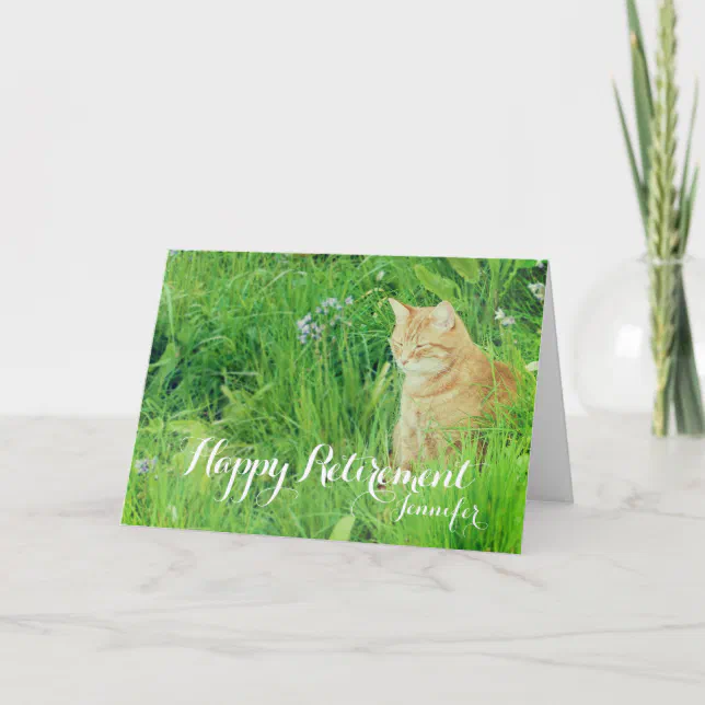 Retirement sleeping ginger cat in a meadow card | Zazzle
