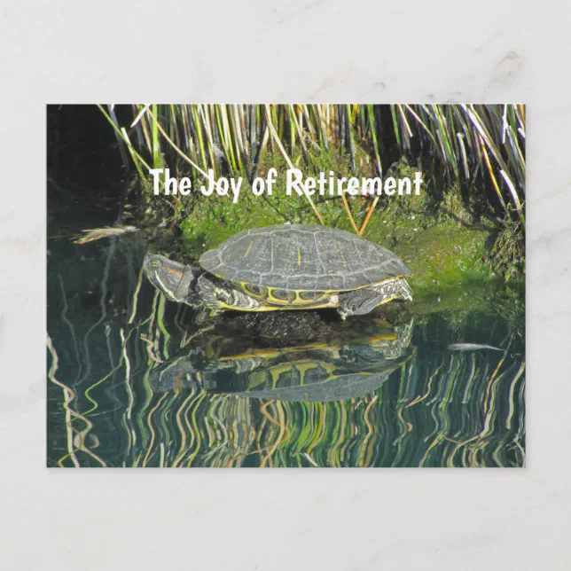 Retirement Turtle with Water Reflection Nature Postcard | Zazzle