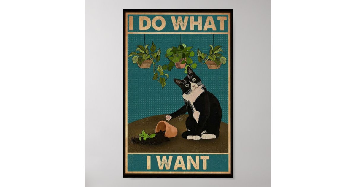 Retro cat poster | Zazzle