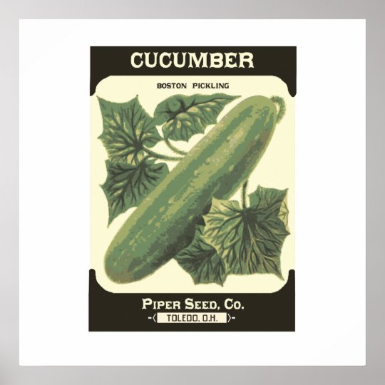 Retro Cucumber Seed Packet Poster Print | Zazzle.com