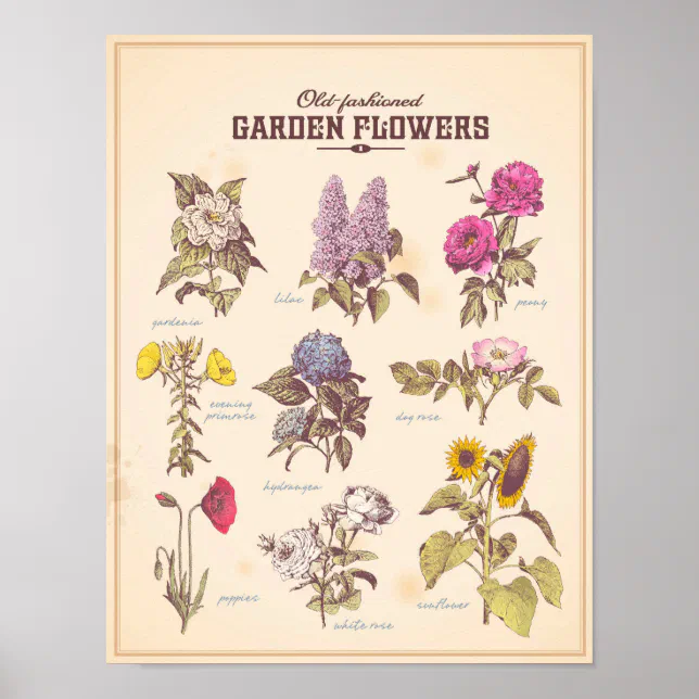 Retro garden flowers poster | Zazzle