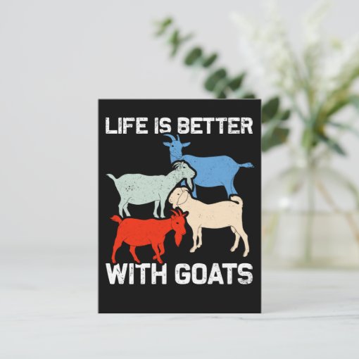 Retro Goats Animal Humor Goat Fan Postcard | Zazzle