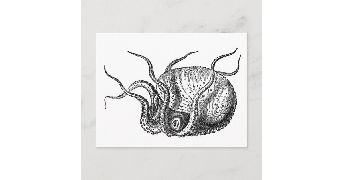 Retro Octopus Postcard | Zazzle