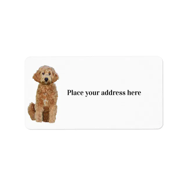 Return Address Label w/ golden doodle | Zazzle