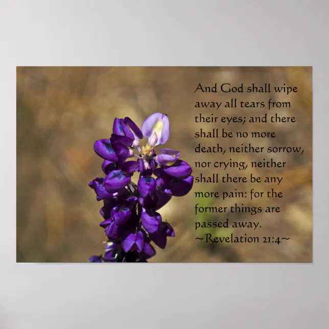 Revelation 21:4 poster | Zazzle