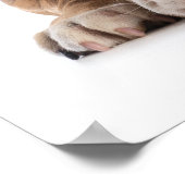 Revised Funny Bulldog - Poster | Zazzle