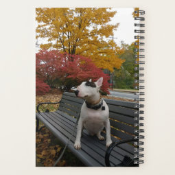 Rex The TV Terrier 2020 Planner | Zazzle