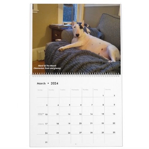 Rex The TV Terrier 2021 Calendar | Zazzle