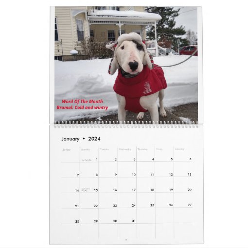 Rex The TV Terrier 2021 Calendar | Zazzle