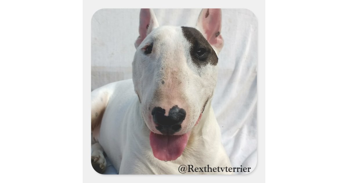 Rex The TV Terrier sticker | Zazzle
