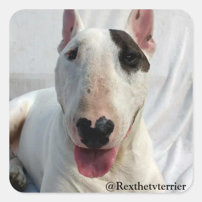 Rex The TV Terrier sticker | Zazzle