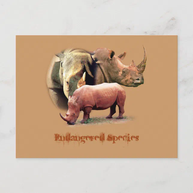 Rhinoceros The Endangered Species Cards | Zazzle