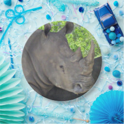 Rhino's Face Paper Plates | Zazzle