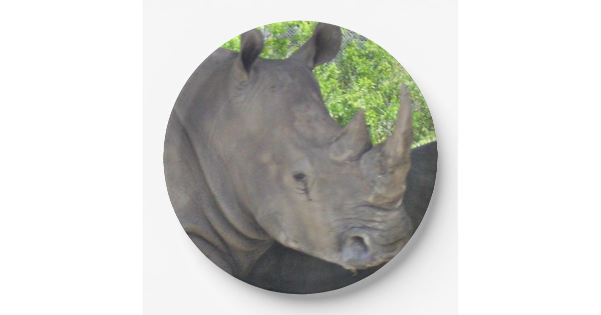 Rhino's Face Paper Plates | Zazzle