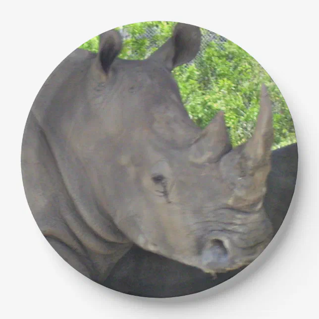 Rhino's Face Paper Plates | Zazzle
