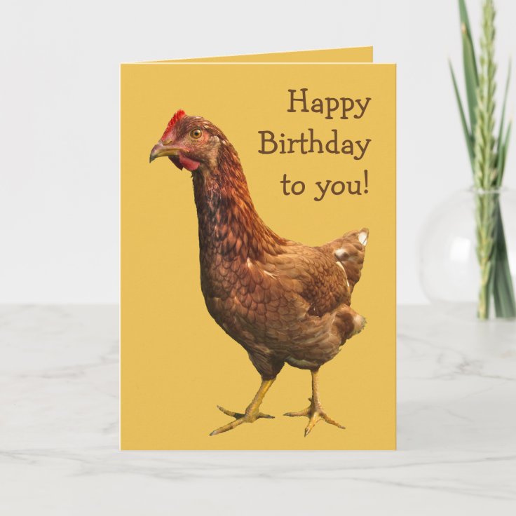 Rhode Island Red Hen Chicken Birthday Card | Zazzle