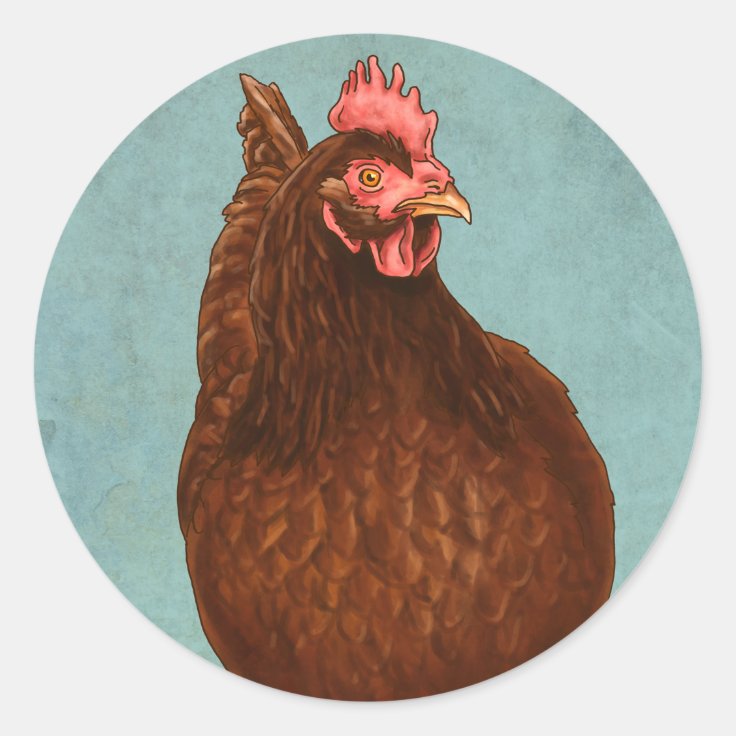 Rhode Island Red Hen Stickers | Zazzle