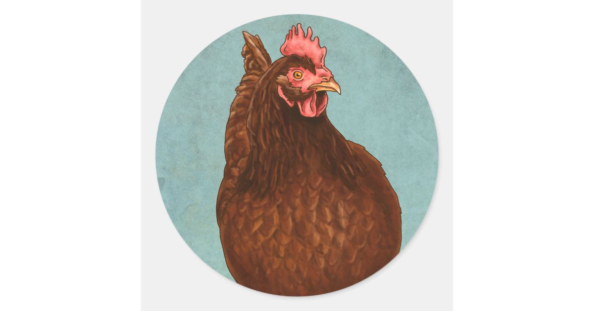 Rhode Island Red Hen Stickers | Zazzle