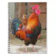 Rhode Island Red Rooster Crowing in Barnyard Notebook | Zazzle