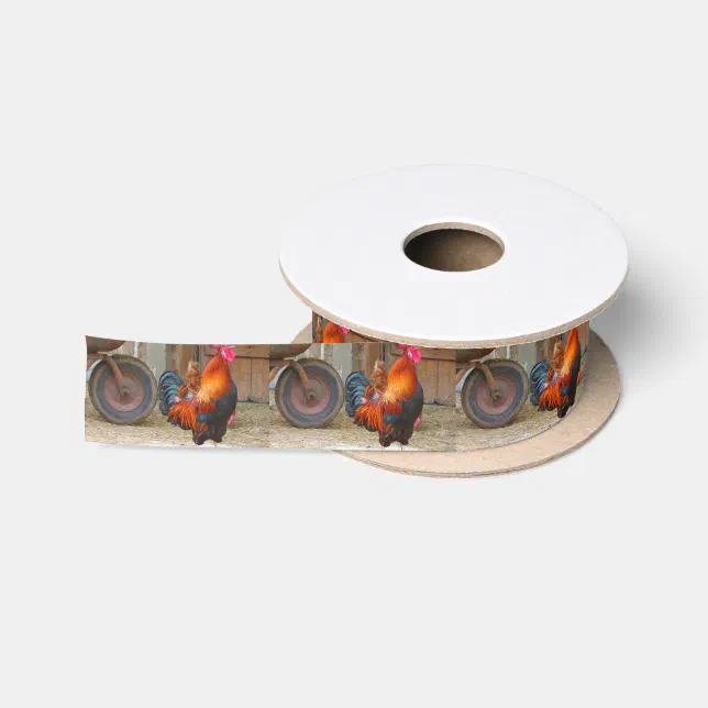 Rhode Island Red Rooster Crowing in Barnyard Satin Ribbon | Zazzle