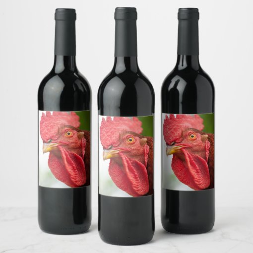 Rhode Island Red Rooster Wine Label | Zazzle