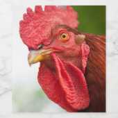 Rhode Island Red Rooster Wine Label | Zazzle
