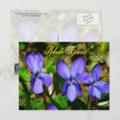 Rhode Island State Flower: Violet Postcard | Zazzle