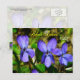 Rhode Island State Flower: Violet Postcard | Zazzle