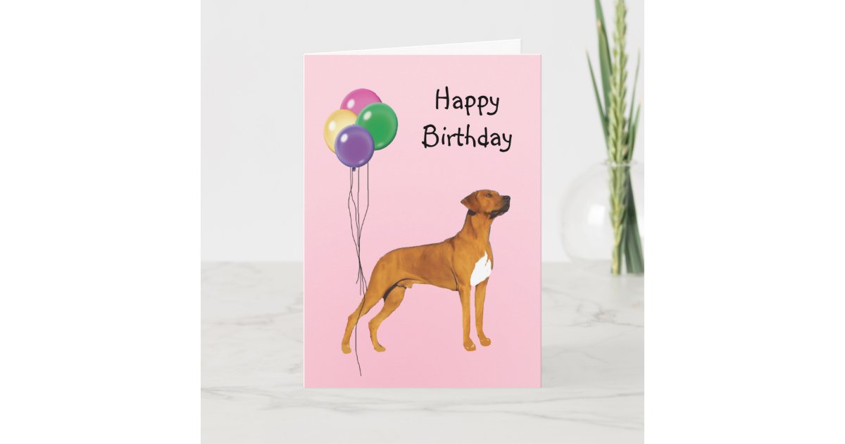 Rhodesian Ridgeback, Birthday Balloons Card | Zazzle